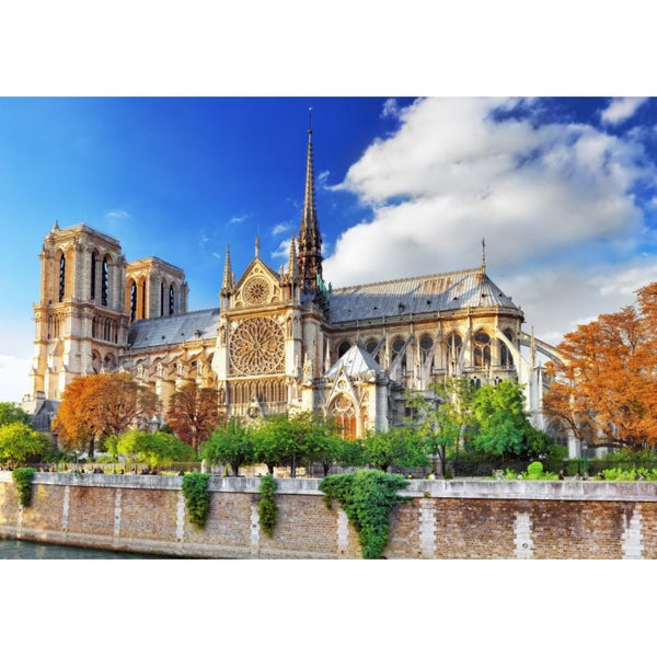 Buy Cathédrale notre-dame de paris, brian kinney (1000pcs) Puzzle ...