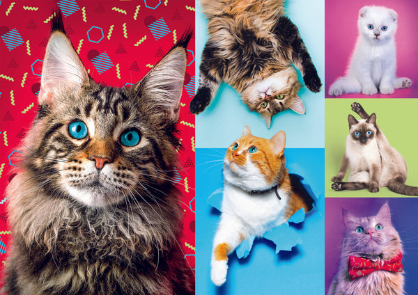 Buy Pfg happy cats (usage/used - puzzles for good) Puzzle | Jigsaw Jungle