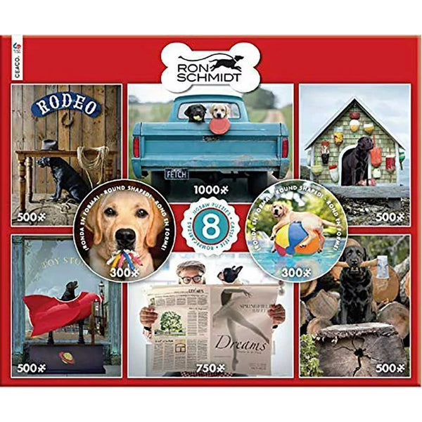 Buy Pfg 8-in-1 multipack, ron schmidt (usage/used - puzzles for good ...