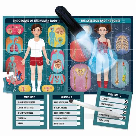 Buy The human body under x-ray (educational puzzle) Puzzle | Jigsaw Jungle