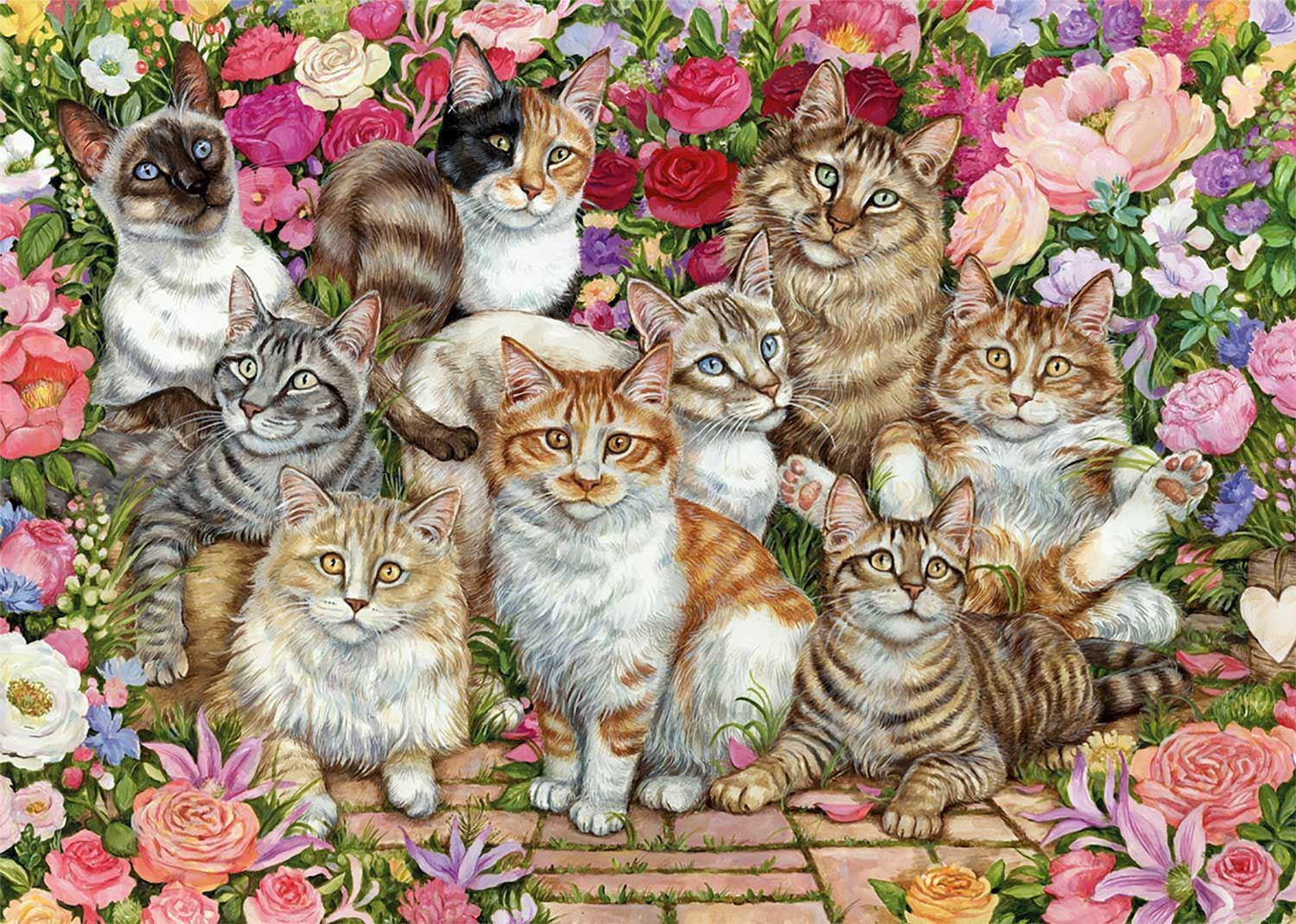 Buy Floral cats, debbie cook (1000pcs) Puzzle | Jigsaw Jungle