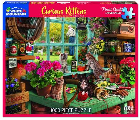 Buy Curious kittens, steve read Puzzle | Jigsaw Jungle