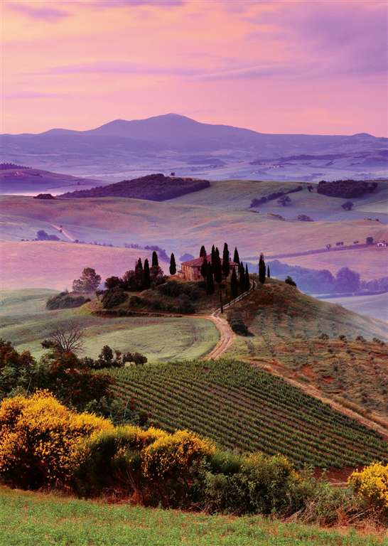 Buy Ravensburger tuscan flair Puzzle | Jigsaw Jungle