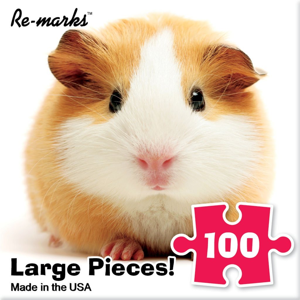 Buy Guinea pig Puzzle | Jigsaw Jungle