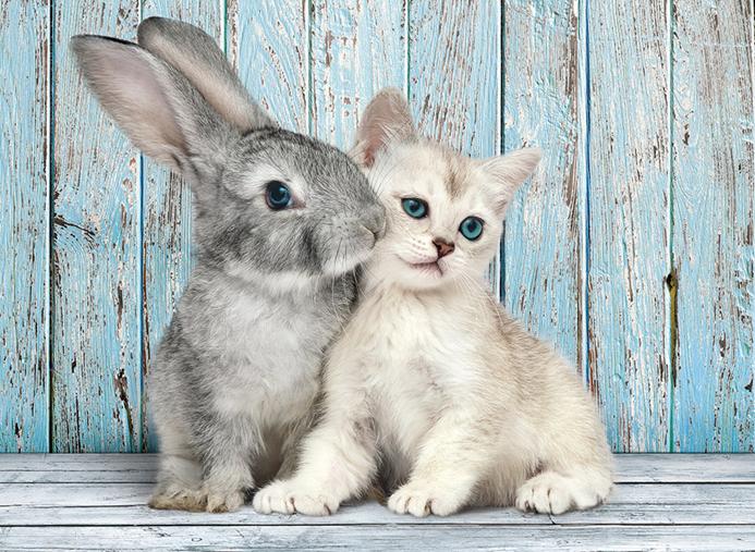 Buy Pfg cat & bunny (usage/used - puzzles for good) Puzzle | Jigsaw Jungle