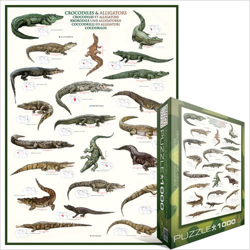 Buy Crocodiles and alligators Puzzle | Jigsaw Jungle