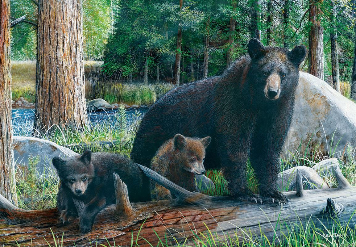 Buy New discoveries, kevin daniel Puzzle | Jigsaw Jungle
