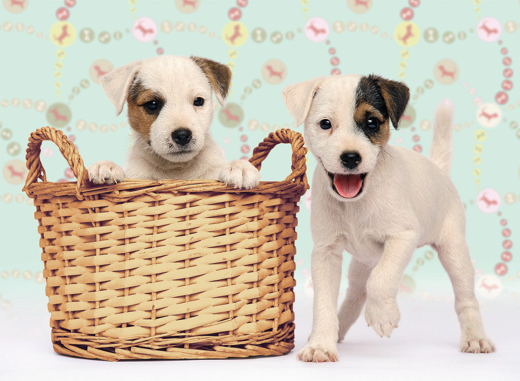 Buy Ravensburger cheeky friends Puzzle | Jigsaw Jungle