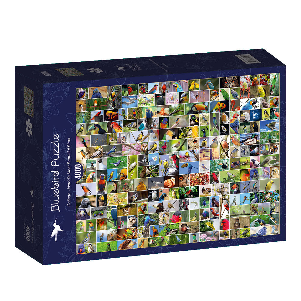 Buy World's most beautiful birds - collage (4000pcs) Puzzle | Jigsaw Jungle