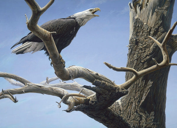 Buy Call of the wild, robert bateman Puzzle | Jigsaw Jungle