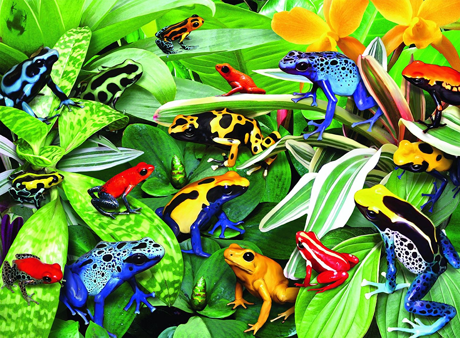Buy Ravensburger friendly frogs Puzzle | Jigsaw Jungle