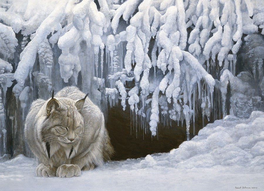 Buy Dozing lynx, robert bateman Puzzle | Jigsaw Jungle
