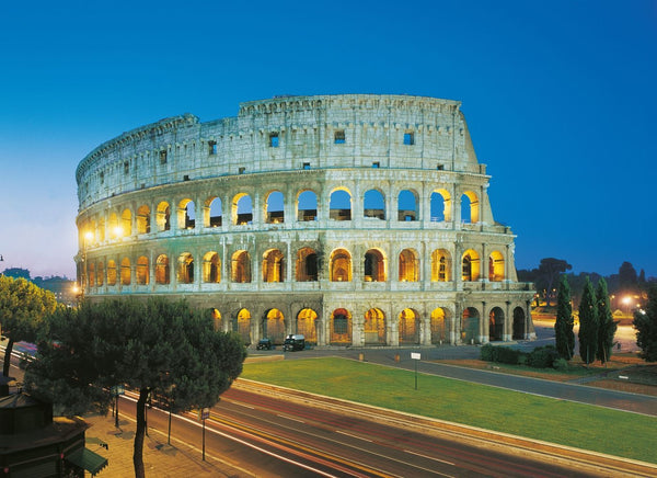 Buy Pfg roma - colosseo (usagé/used - puzzles for good) Puzzle | Jigsaw ...